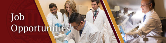 Employment Opportunities – CHSU – California Health Sciences University